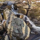 Whitestone Cliffs Trail, Connecticut - 609 Reviews, Map | AllTrails