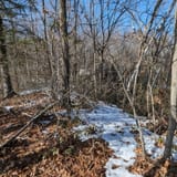 Whitestone Cliffs Trail, Connecticut - 609 Reviews, Map | AllTrails