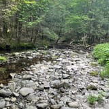 Huckleberry Point Trail, New York - 1,765 Reviews, Map | AllTrails