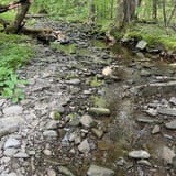 Huckleberry Point Trail, New York - 1,765 Reviews, Map | AllTrails