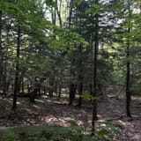 Huckleberry Point Trail, New York - 1,765 Reviews, Map | AllTrails