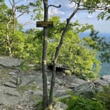 Huckleberry Point Trail, New York - 1,765 Reviews, Map | AllTrails