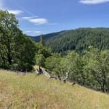 Weldon Wagon Road Trail, Washington - 532 Reviews, Map | AllTrails