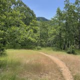 Weldon Wagon Road Trail, Washington - 532 Reviews, Map | AllTrails