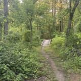 Herb Parsons Lake Green Trail, Tennessee - 830 Reviews, Map | AllTrails