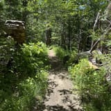 Angel Falls via Willow Creek Trail, California - 2,302 Reviews, Map ...