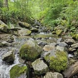 Japanese Gulch Loop Trail, Washington - 1,248 Reviews, Map | AllTrails