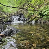 Japanese Gulch Loop Trail, Washington - 1,248 Reviews, Map | AllTrails