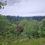 Japanese Gulch Loop Trail, Washington - 1,248 Reviews, Map | AllTrails