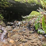 Japanese Gulch Loop Trail, Washington - 1,248 Reviews, Map | AllTrails