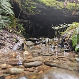 Japanese Gulch Loop Trail, Washington - 1,248 Reviews, Map | AllTrails