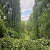 Little Devils Stairs and Piney Branch Loop, Virginia - 577 Reviews, Map ...