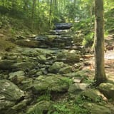 Henderson Park Loop, Georgia - 1,839 Reviews, Map | AllTrails
