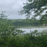 Berry Pond Trail, Massachusetts - 70 Reviews, Map | AllTrails