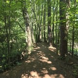 Henderson Park Loop, Georgia - 1,839 Reviews, Map | AllTrails