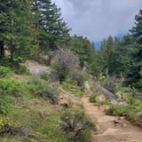 Ypsilon Lake Trail, Colorado - 1,178 Reviews, Map | AllTrails