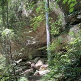 Sky Bridge Trail, Kentucky - 2,499 Reviews, Map | AllTrails