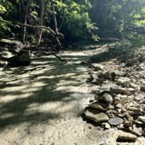 Window Cliffs Trail, Tennessee - 1,490 Reviews, Map | AllTrails