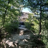 Window Cliffs Trail, Tennessee - 1,490 Reviews, Map | AllTrails