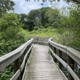 Nauset Marsh and Nauset Bike Trail , Massachusetts - 909 Reviews, Map ...