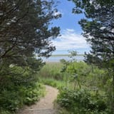 Nauset Marsh and Nauset Bike Trail , Massachusetts - 868 Reviews, Map ...