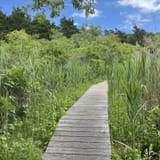 Nauset Marsh and Nauset Bike Trail , Massachusetts - 868 Reviews, Map ...