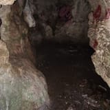 Dames Cave, Florida - 626 Reviews, Map | AllTrails