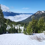 Excelsior Pass Trail, Washington - 668 Reviews, Map | AllTrails