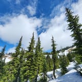 Excelsior Pass Trail, Washington - 668 Reviews, Map | AllTrails