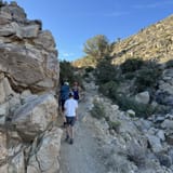 Ryan Mountain, California - 7,771 Reviews, Map | AllTrails