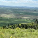 Kamiak Butte Trail, Washington - 766 Reviews, Map | AllTrails