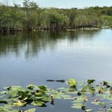 Anhinga Trail, Florida - 1,841 Reviews, Map | AllTrails