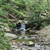Sunfish Pond via AT and Dunnfield Creek Trail Loop, New Jersey - 1,258 ...