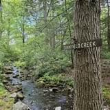 Sunfish Pond via AT and Dunnfield Creek Trail Loop, New Jersey - 1,258 ...