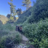 Stoddard Peak, California - 2,215 Reviews, Map | AllTrails