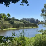 Pinto Lake County Park Loop, California - 356 Reviews, Map | AllTrails