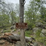 Bull Hill Full Loop, New York - 5,780 Reviews, Map | AllTrails