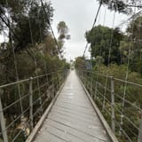 Seven Bridge Walk, California - 4,559 Reviews, Map | AllTrails