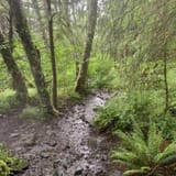 Mount Washington Trail, Washington - 2,952 Reviews, Map | AllTrails