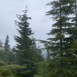 Mount Washington Trail, Washington - 2,952 Reviews, Map | AllTrails