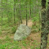 Cato's Ridge, Massachusetts - 517 Reviews, Map | AllTrails