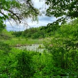 Cato's Ridge, Massachusetts - 517 Reviews, Map | AllTrails
