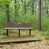 Cato's Ridge, Massachusetts - 517 Reviews, Map | AllTrails