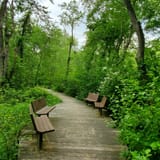 Cato's Ridge, Massachusetts - 517 Reviews, Map | AllTrails