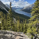 Little Lougheed, Alberta, Canada - 1,891 Reviews, Map | AllTrails