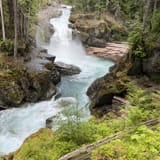 Silver Falls Loop, Washington - 2,921 Reviews, Map | AllTrails