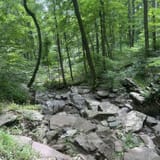 High Rocks, Pennsylvania - 3,265 Reviews, Map | AllTrails