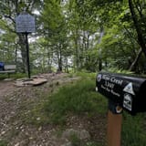 Hoye Crest (Backbone Mountain), West Virginia - 640 Reviews, Map ...