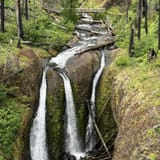 Oneonta Trail, Oregon - 724 Reviews, Map | AllTrails