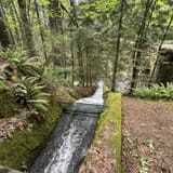 Whatcom Creek Trail Loop, Washington - 1,867 Reviews, Map | AllTrails